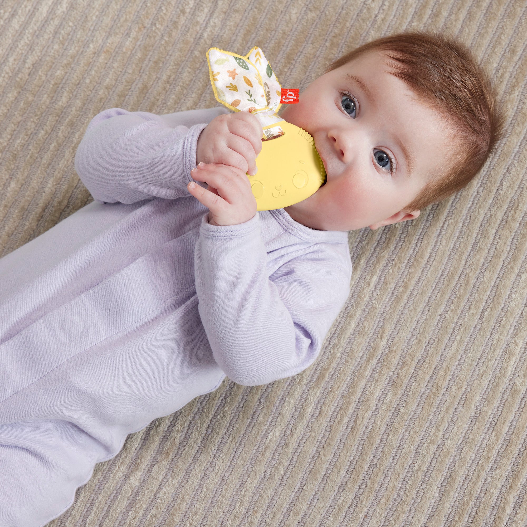 Fisher-Price Animal Themed Baby Teether Rattle & Clacker for Newborns ...